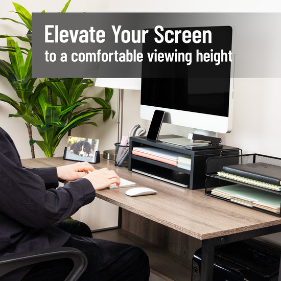 Mind Reader Monitor Stand with Phone Slot and Storage Shelf, Desktop R ...